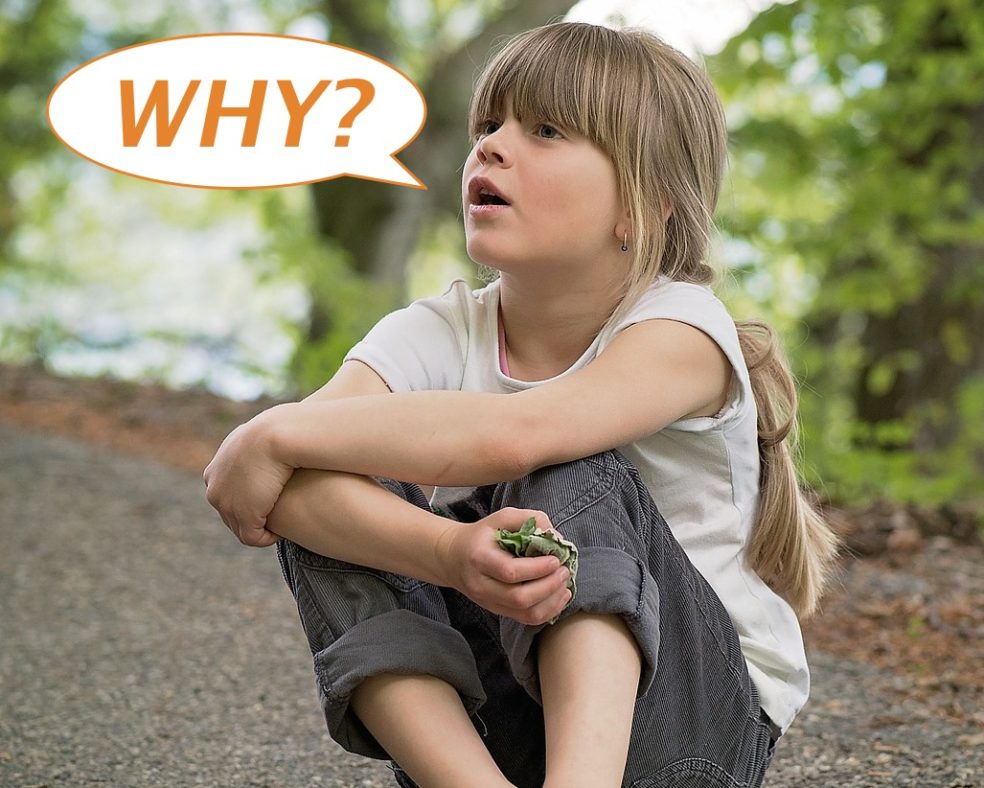 The Creative Power of Questions | Executive Power